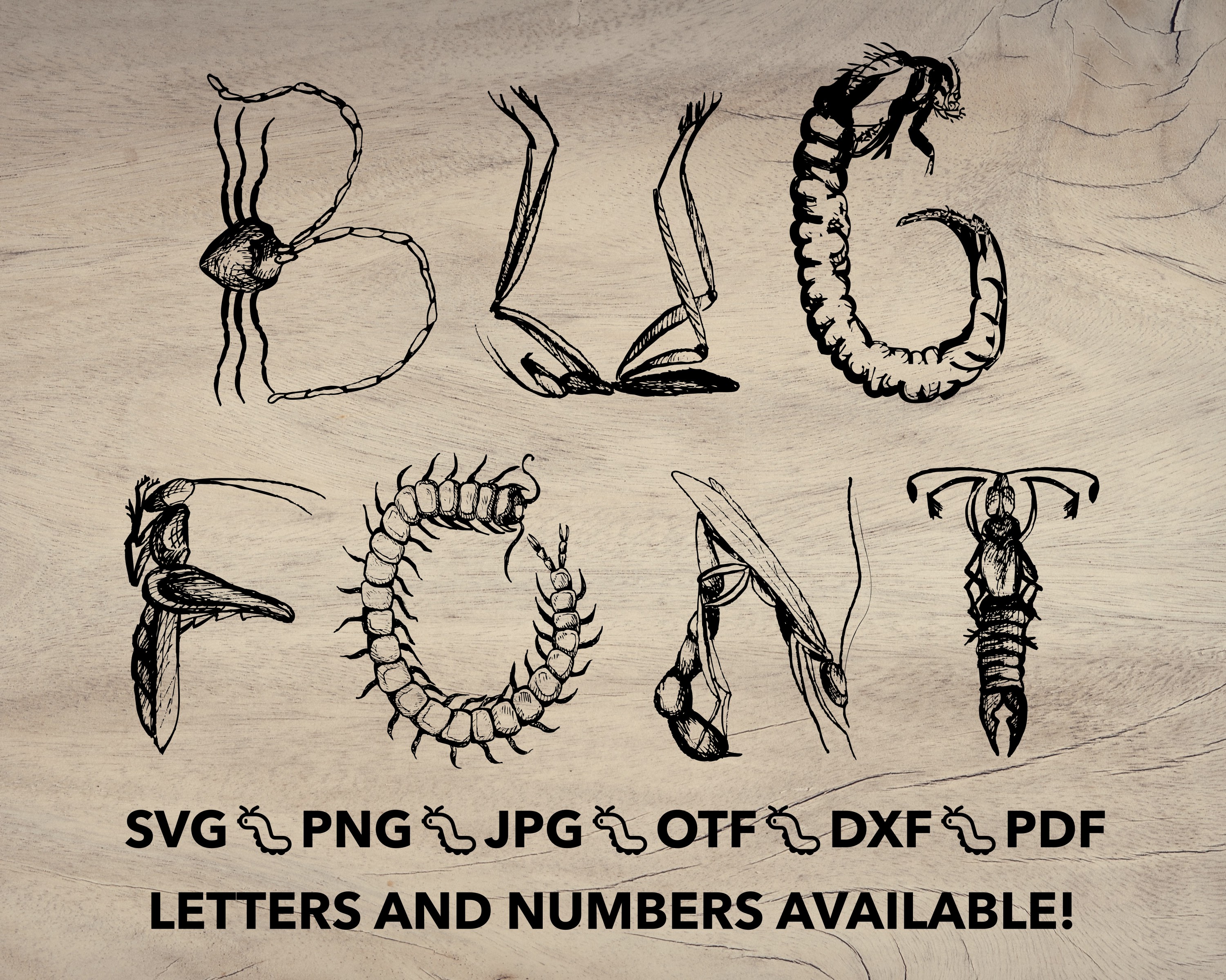 Bug Letters and Numbers SVG, PNG, JPG, OTF, DXF, and PDF