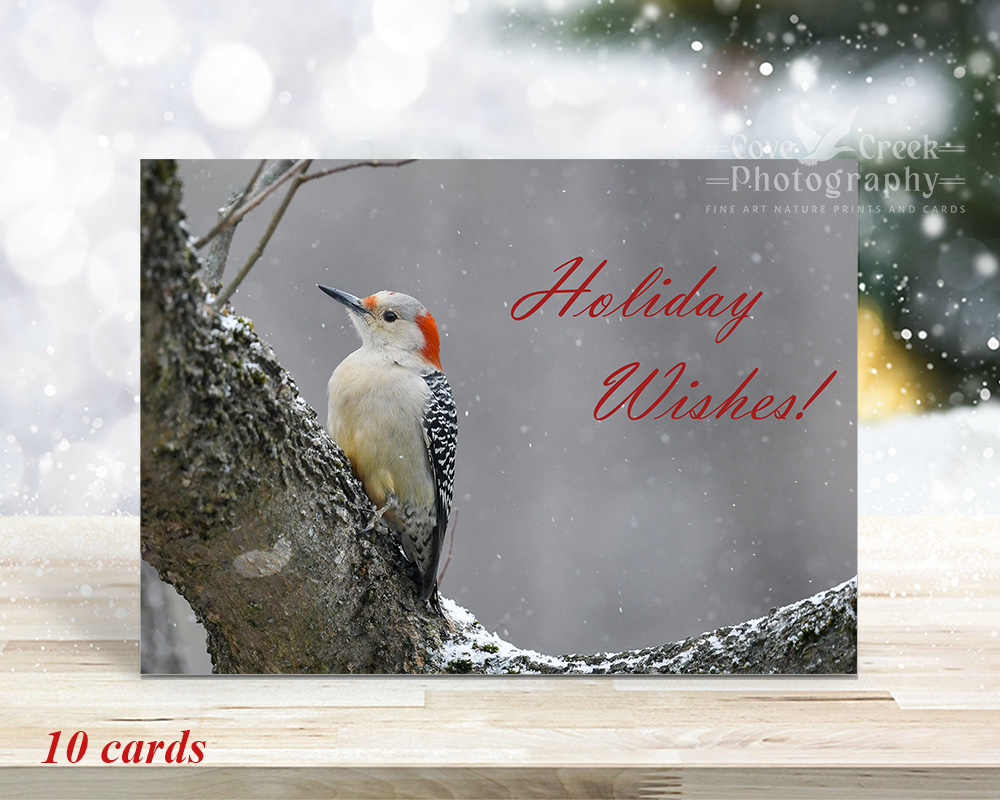 Holiday & Seasonal :: Christmas :: Nature Theme Christmas Card ...