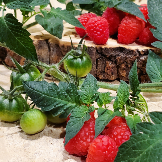Home & Living :: Raspberry & Tomato Leaf