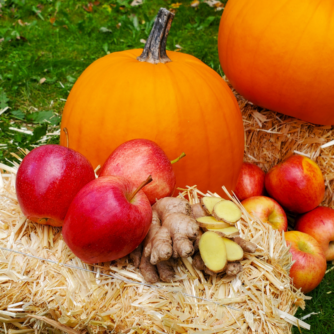 Home & Living :: Pumpkin Ginger & Apples