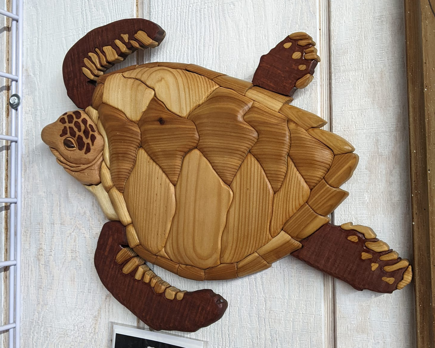 Handmade Supplies :: Digital Files & Templates :: E-Pattern Sea Turtle ...