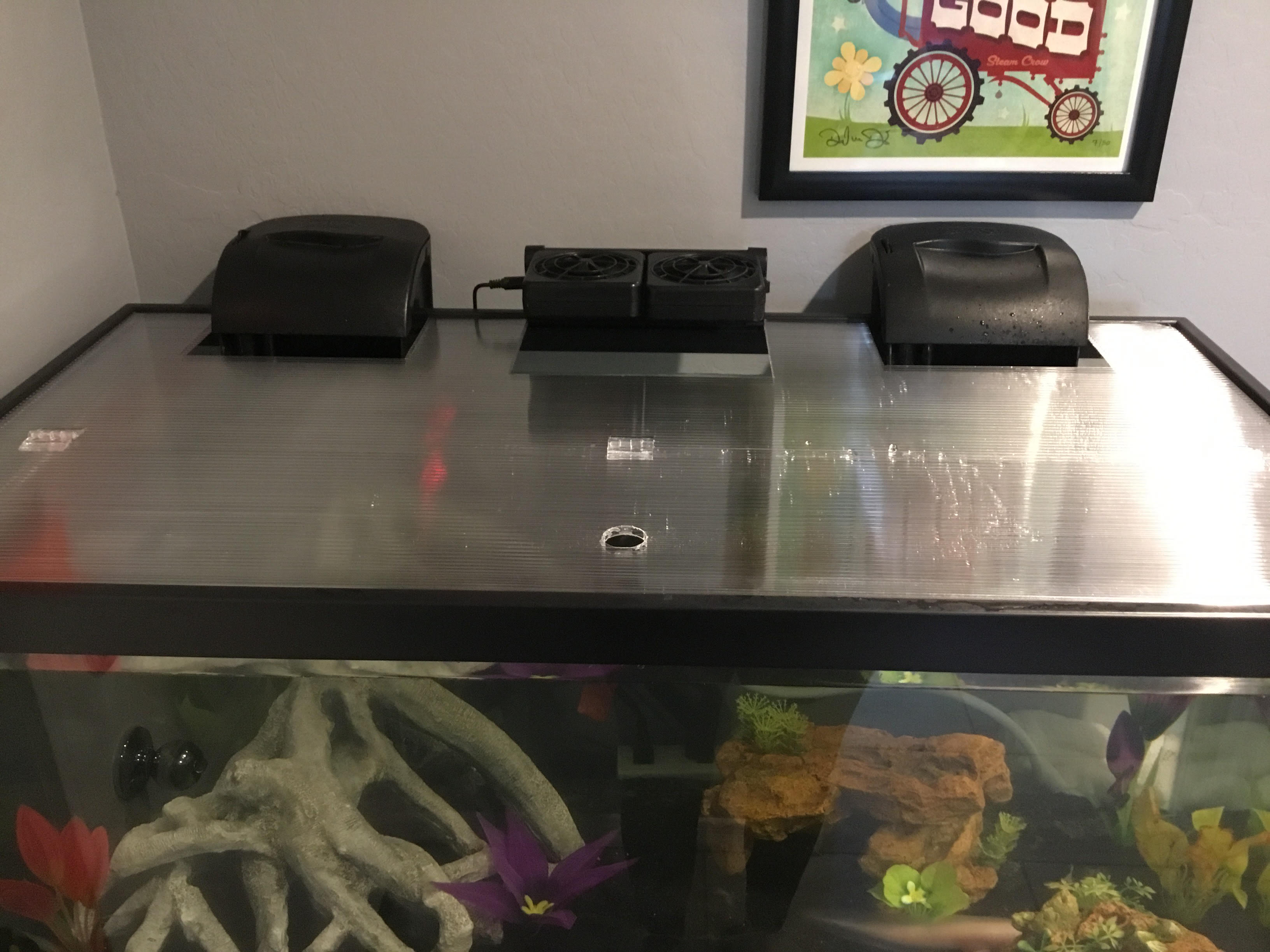 Products :: 40 Gallon Breeder Aquarium Lid for Aqueon Tanks