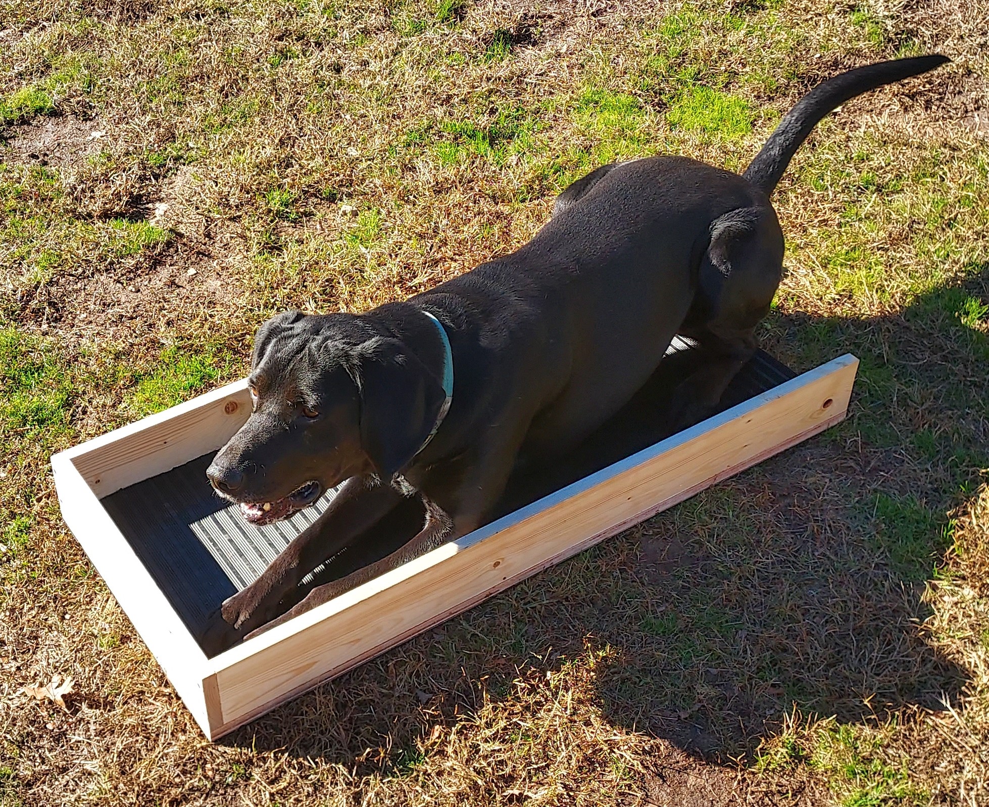 Home & Living :: Pets :: Position Box/Platform for K9 IGP, gun dog ...