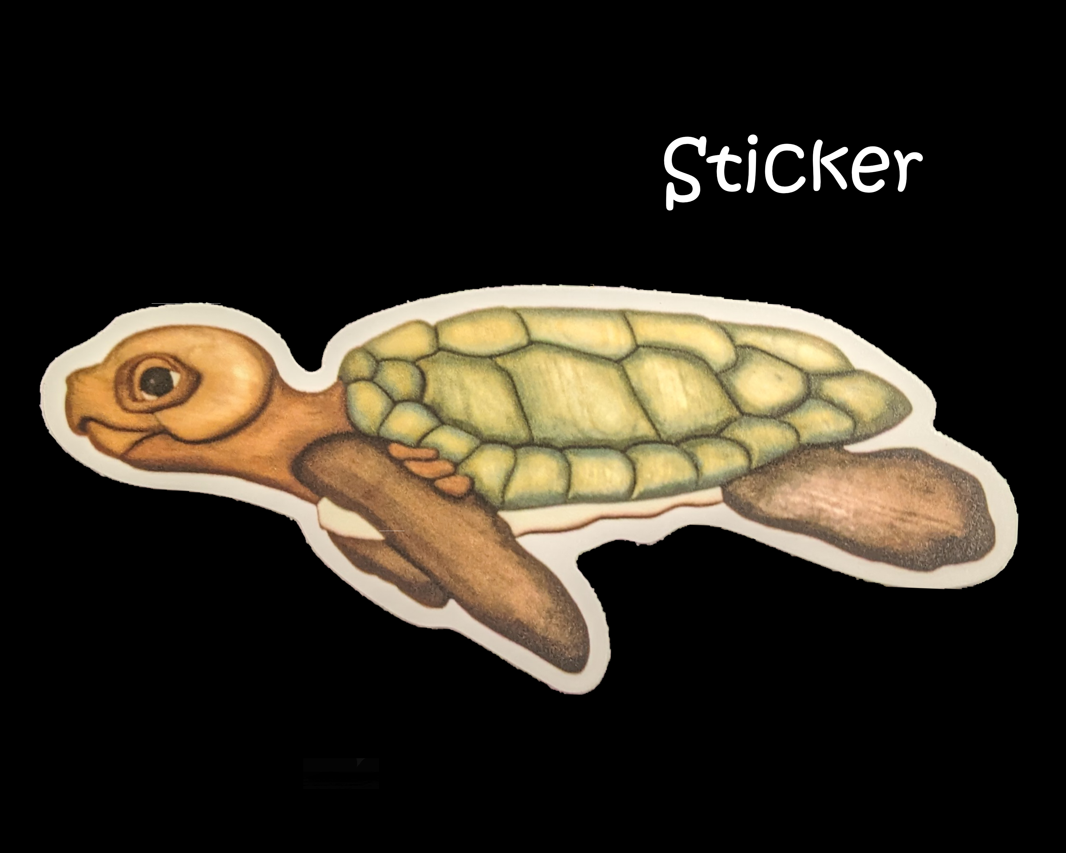 Home & Living :: Decals & Stickers :: Vinyl Decals :: Turtle Sticker