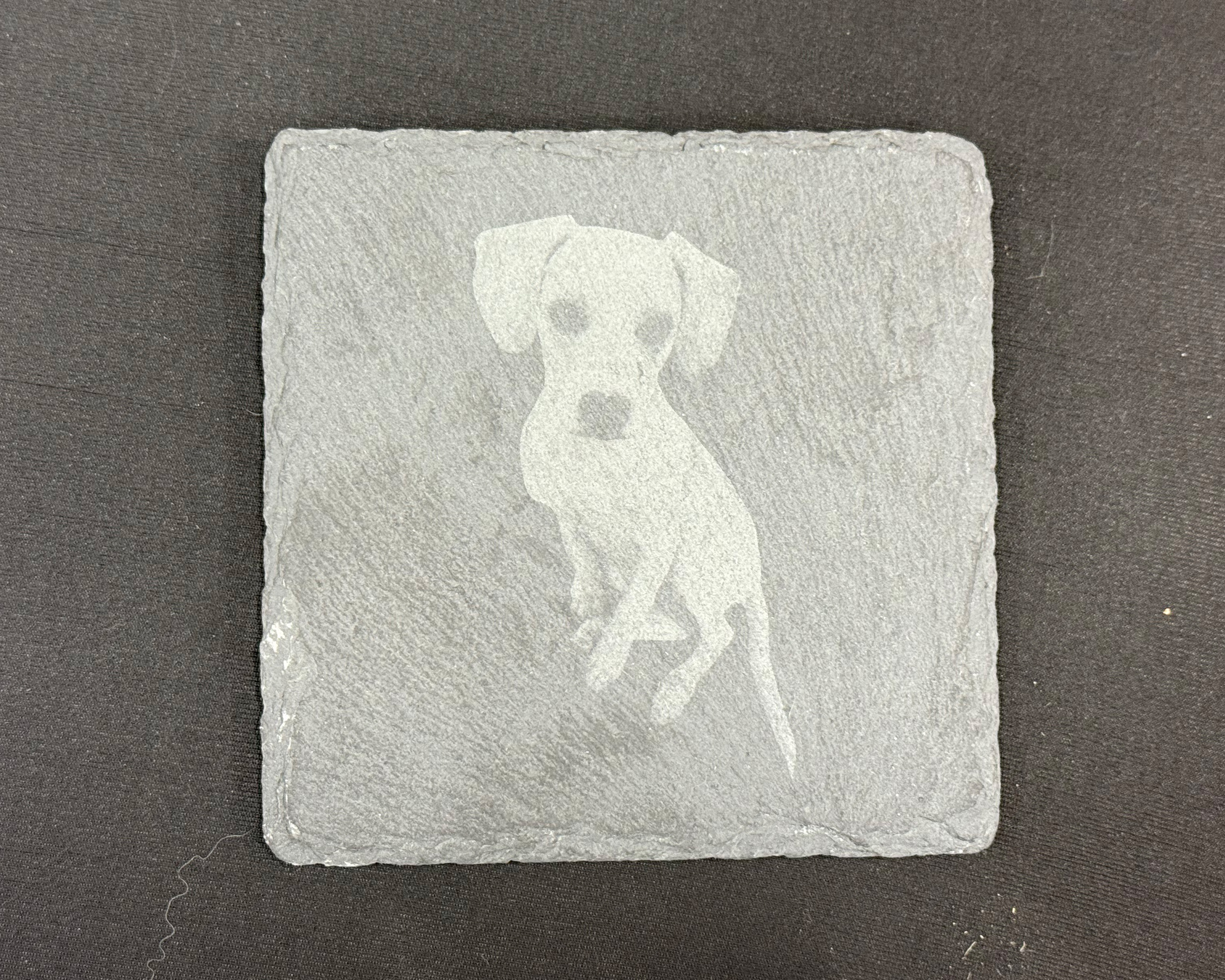 Home & Living :: Pets :: Set of 4 Custom Slate Coasters