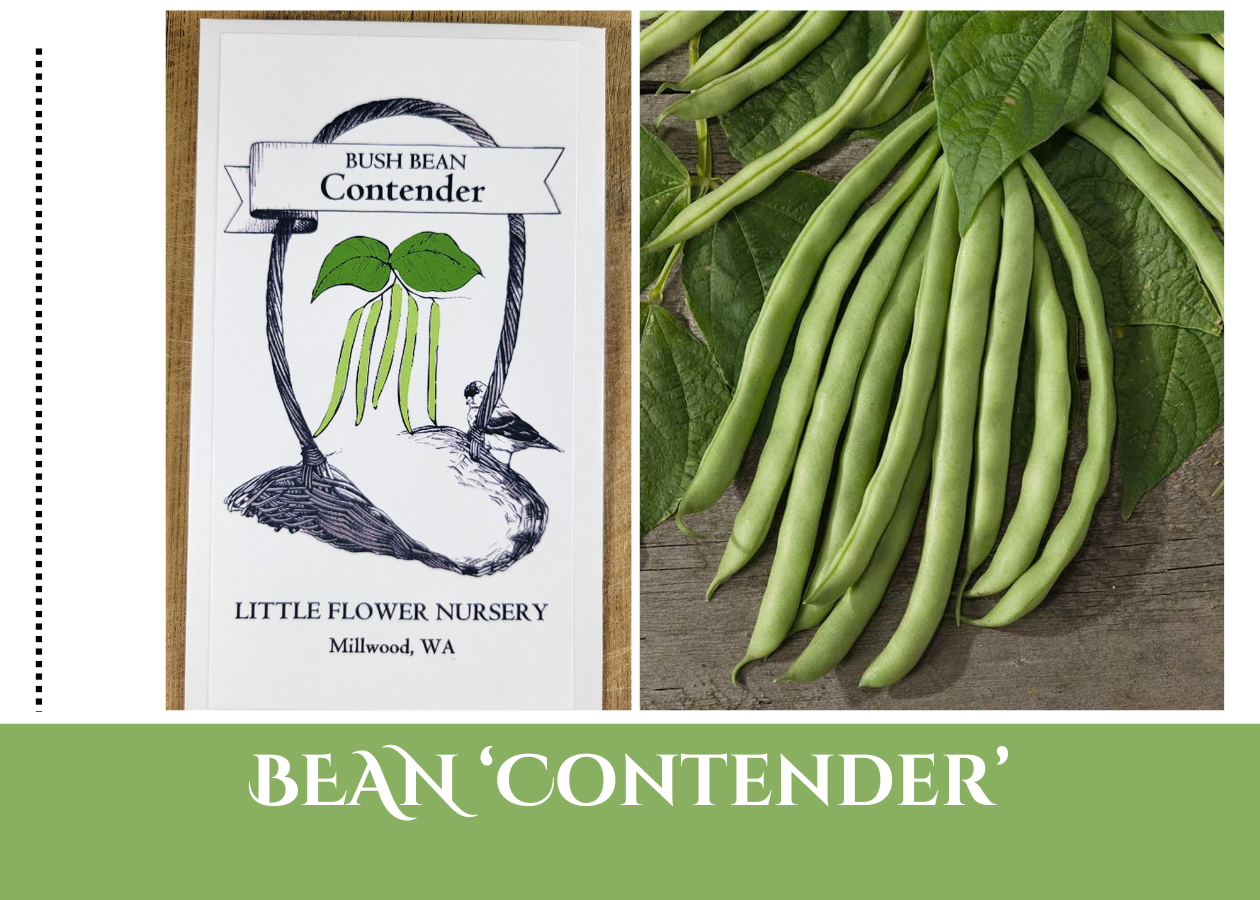 Home & Living :: Outdoor & Garden :: Garden Gloves & Aprons :: Seeds ...