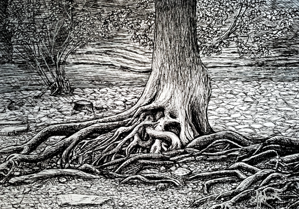 Art & Collectibles :: Drawing & Illustration :: Learning to Adapt ...