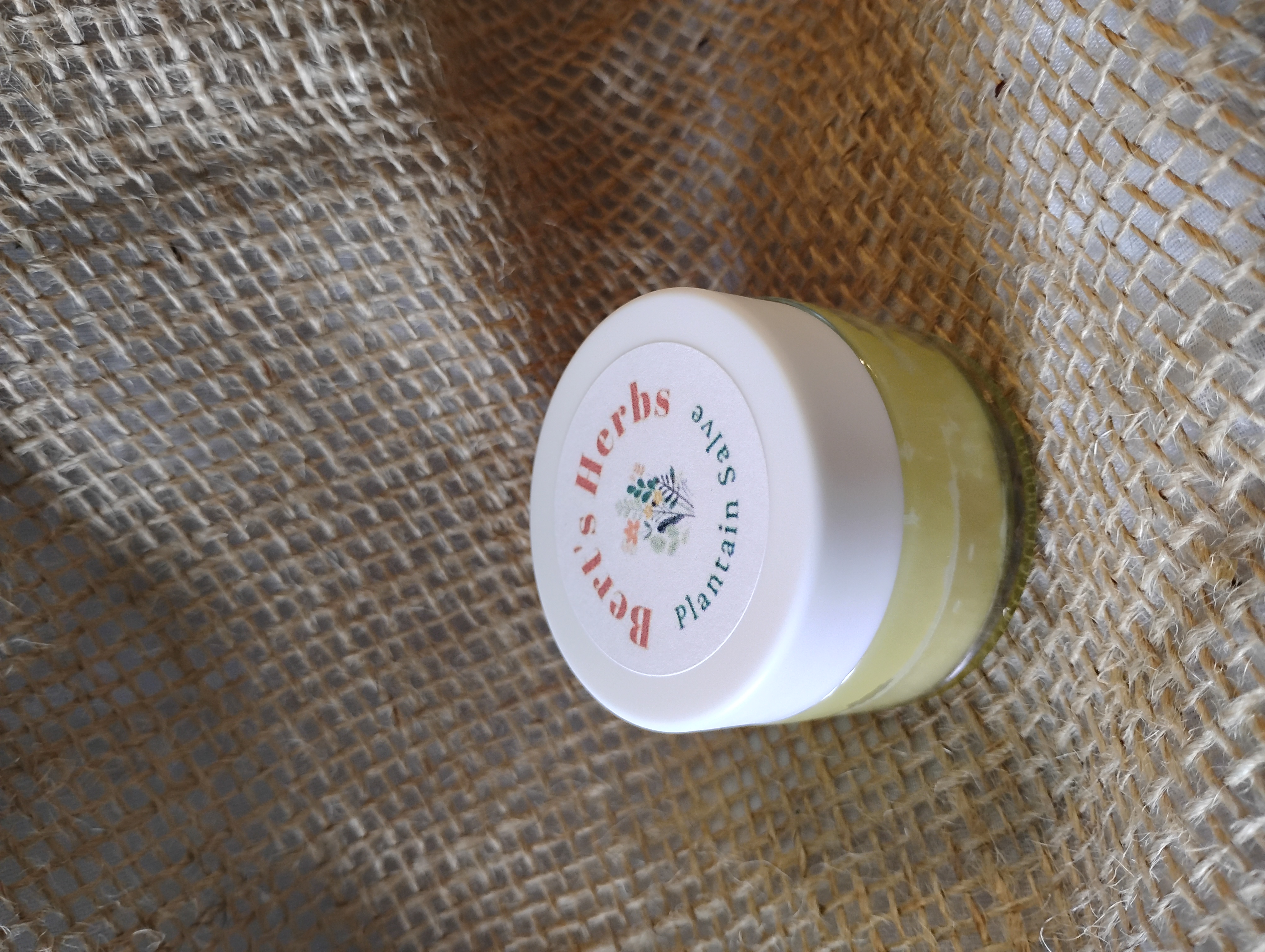 Bath & Beauty :: Skin Care :: Plantain Salve 1oz
