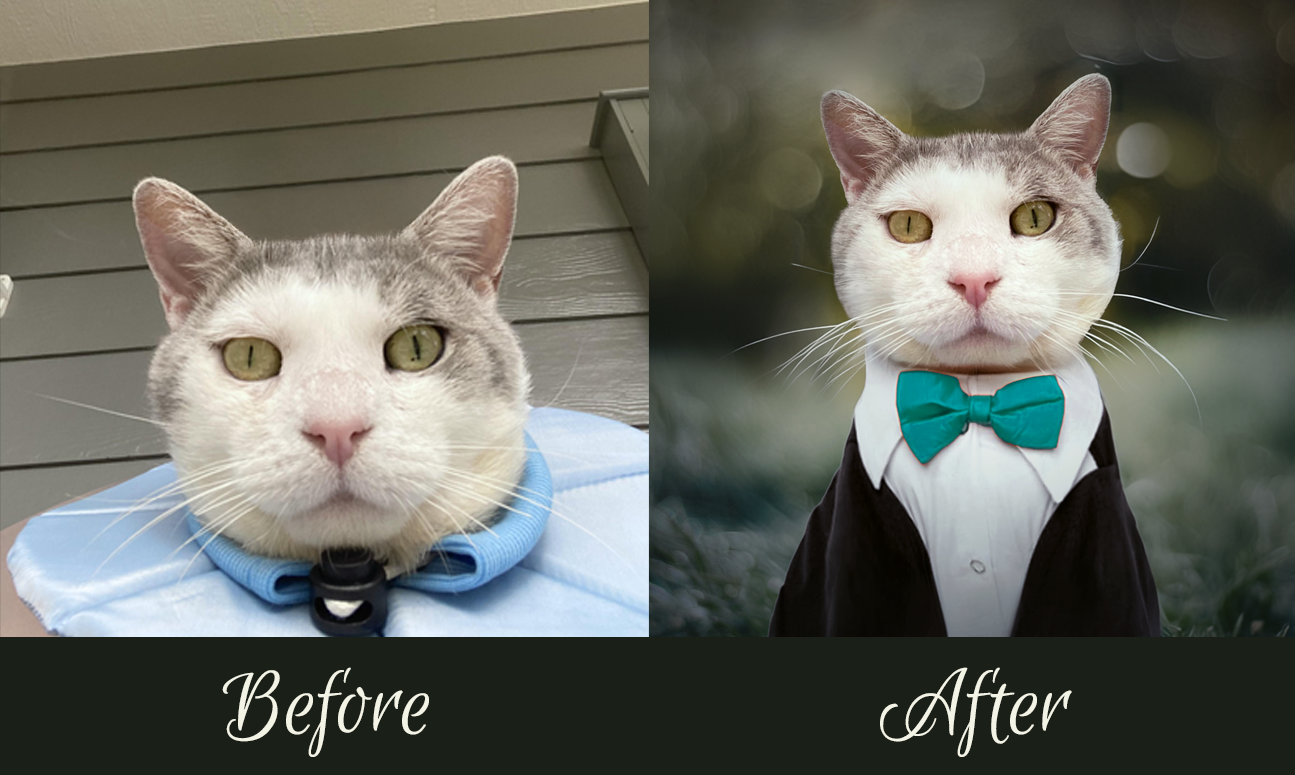 Home & Living :: Home Decor :: Personalized Kitty Cat Glow Up - Image ...