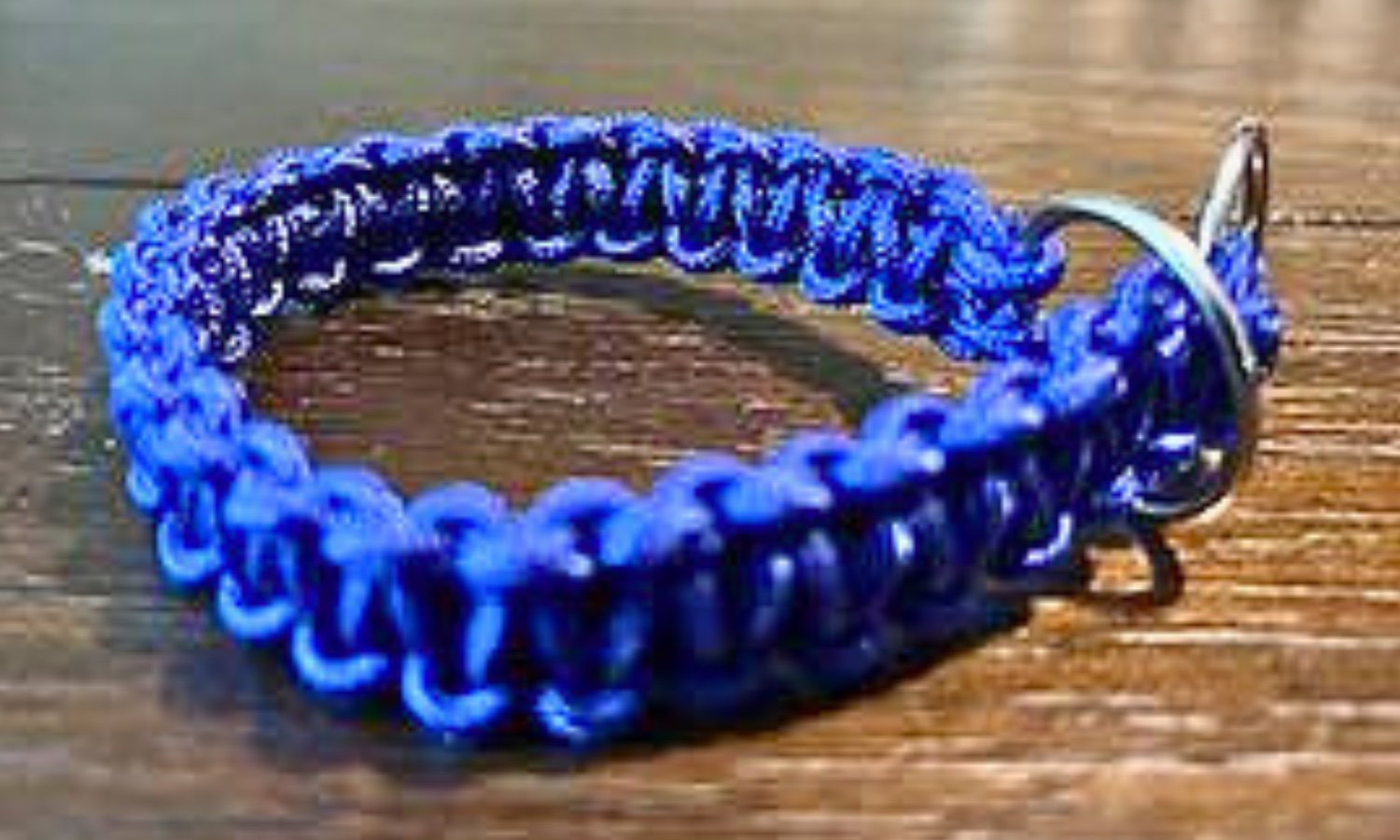 Home & Living :: Pets :: Pet Clothing & Accessories :: Ocean Blue Slip ...