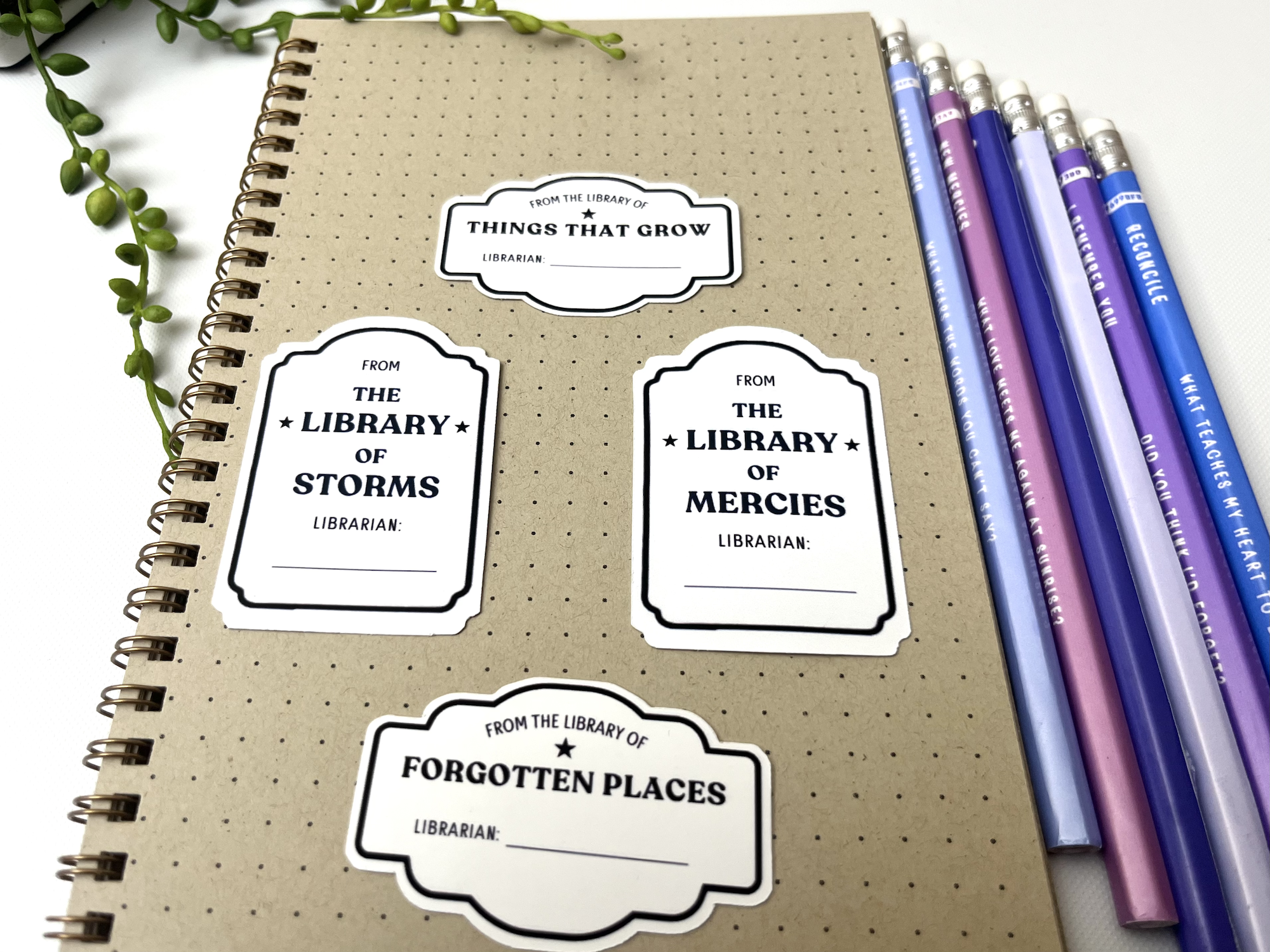 Custom Bookplate Stickers – Choose Your Magic Library Labels