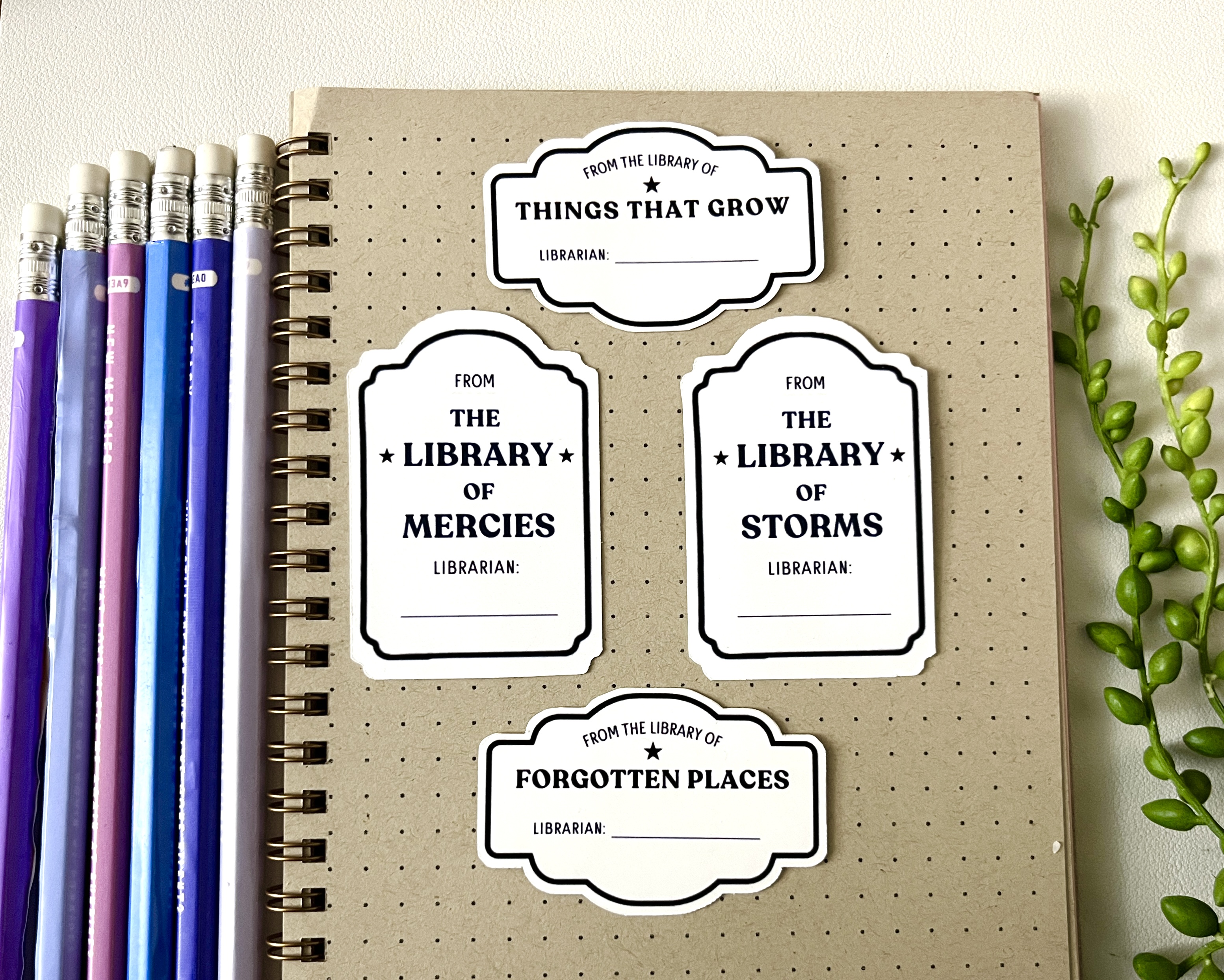 Custom Bookplate Stickers – Choose Your Magic Library Labels